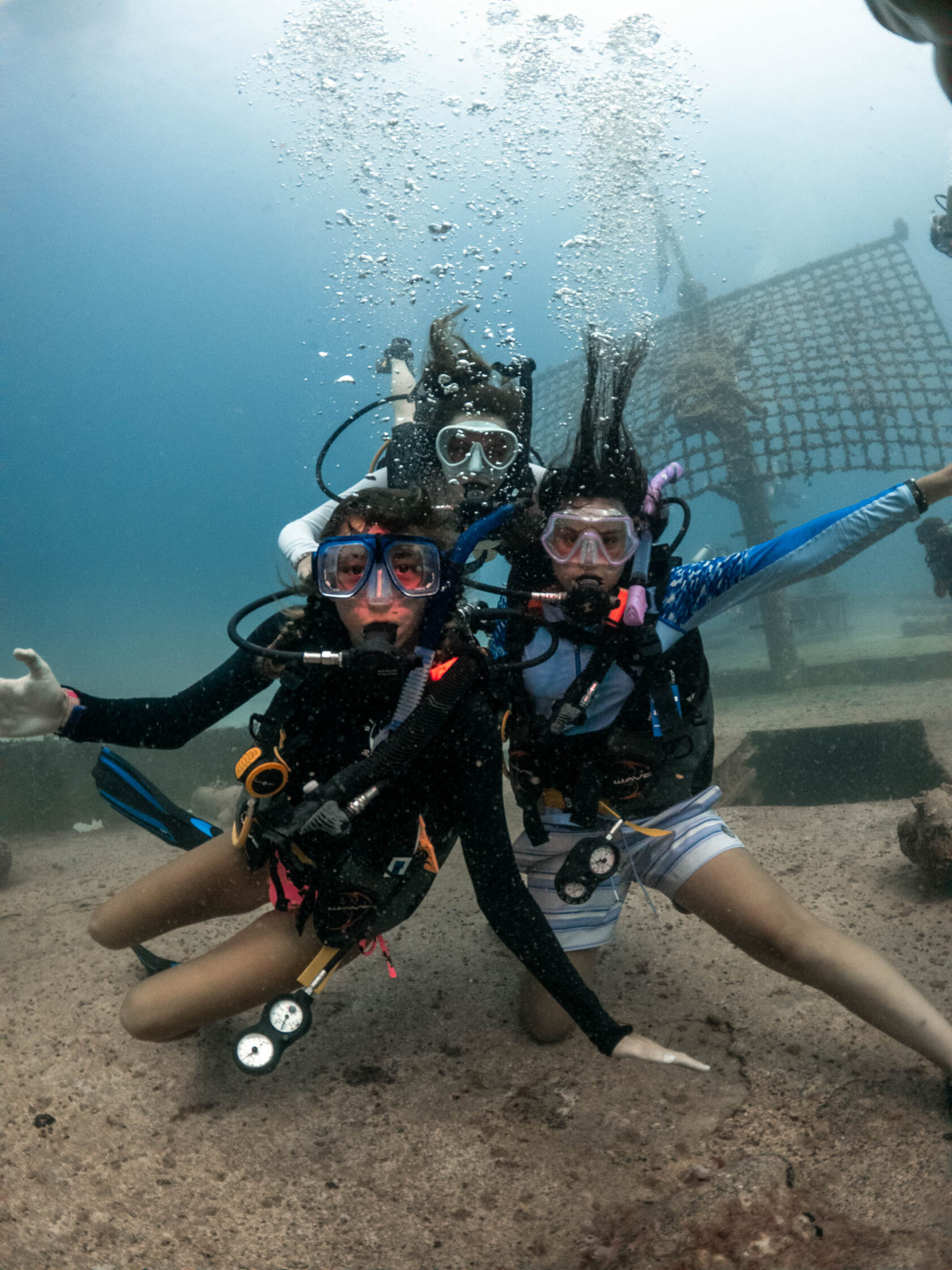 Sail Caribbean Divers | PADI 5-Star Dive Center in the BVI