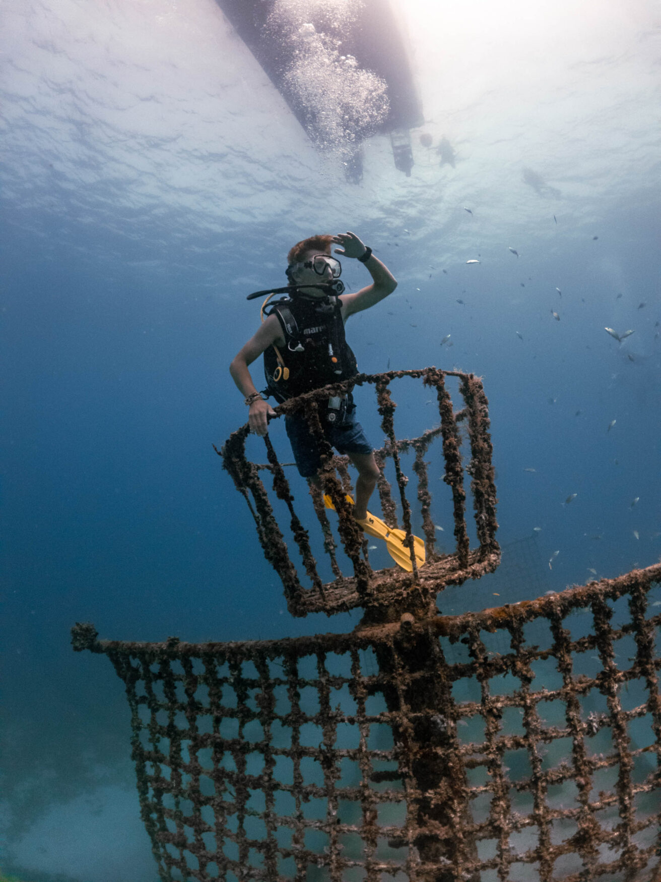 Sail Caribbean Divers | PADI 5-Star Dive Center in the BVI