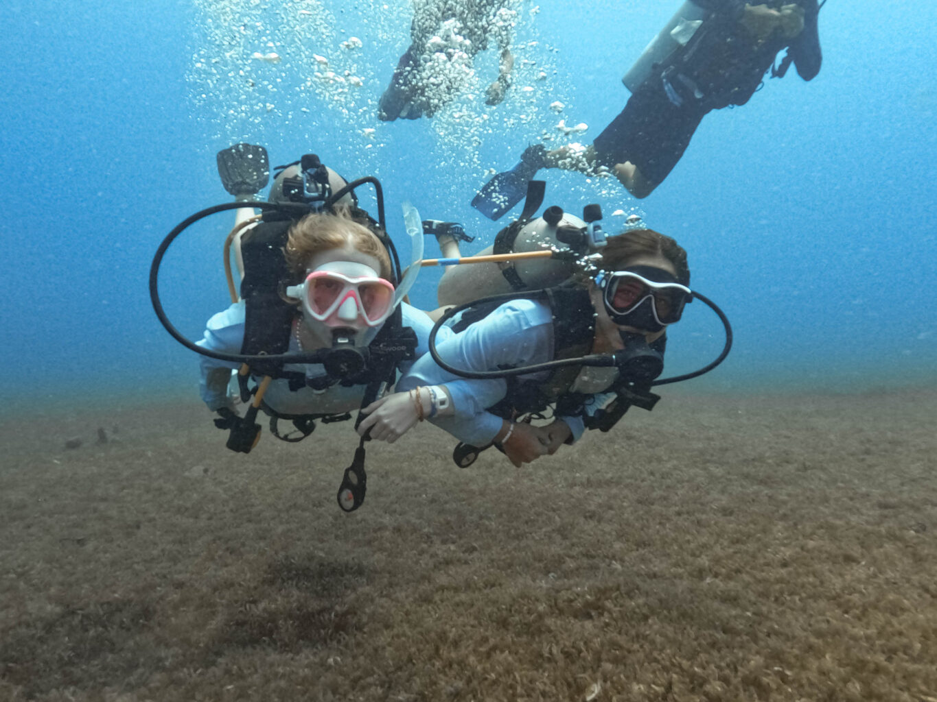 Sail Caribbean Divers | PADI 5-Star Dive Center in the BVI