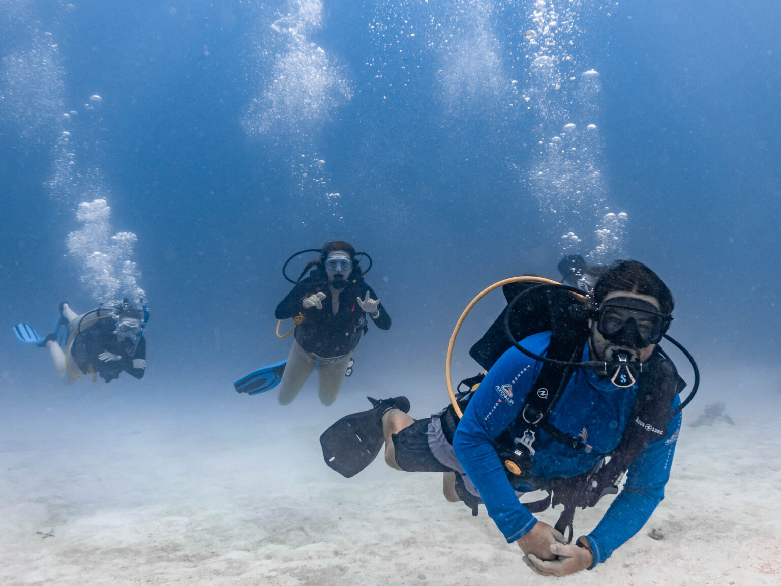 Sail Caribbean Divers | PADI 5-Star Dive Center in the BVI