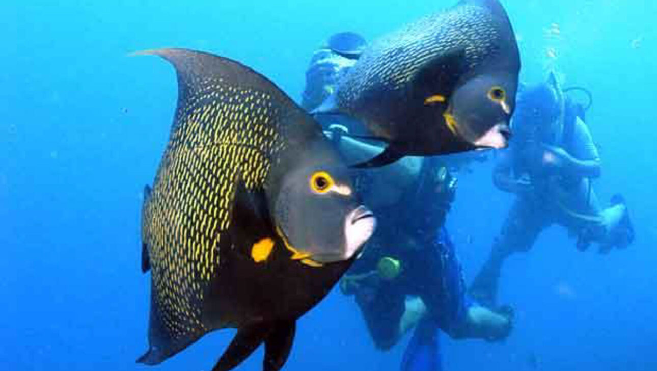 British Virgin Islands Dive Sites Map - Sail Caribbean
