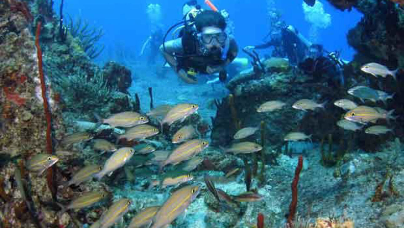 British Virgin Islands Dive Sites Map - Sail Caribbean