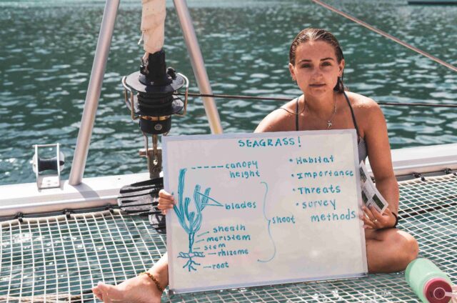 What is Marine Biology? - Sail Caribbean A Beginner’s Guide to Studying ...